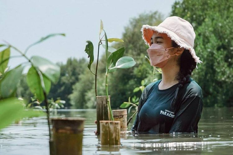Harga Tiket Masuk dan Penginapan di Hutan Mangrove PIK - IHGMA